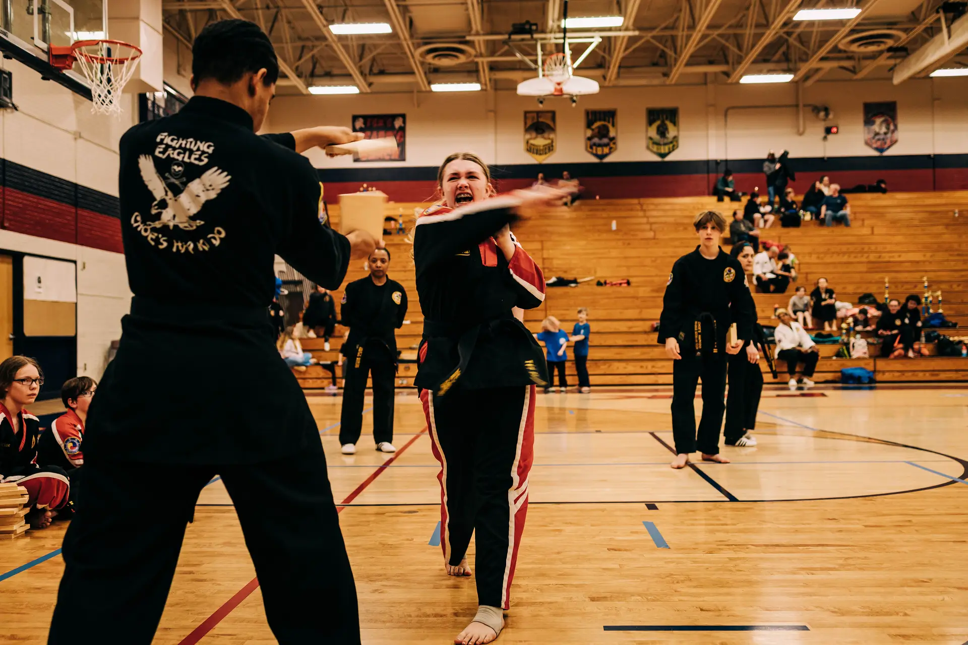 Are Martial Arts Actually Effective? - Choe's HapKiDo
